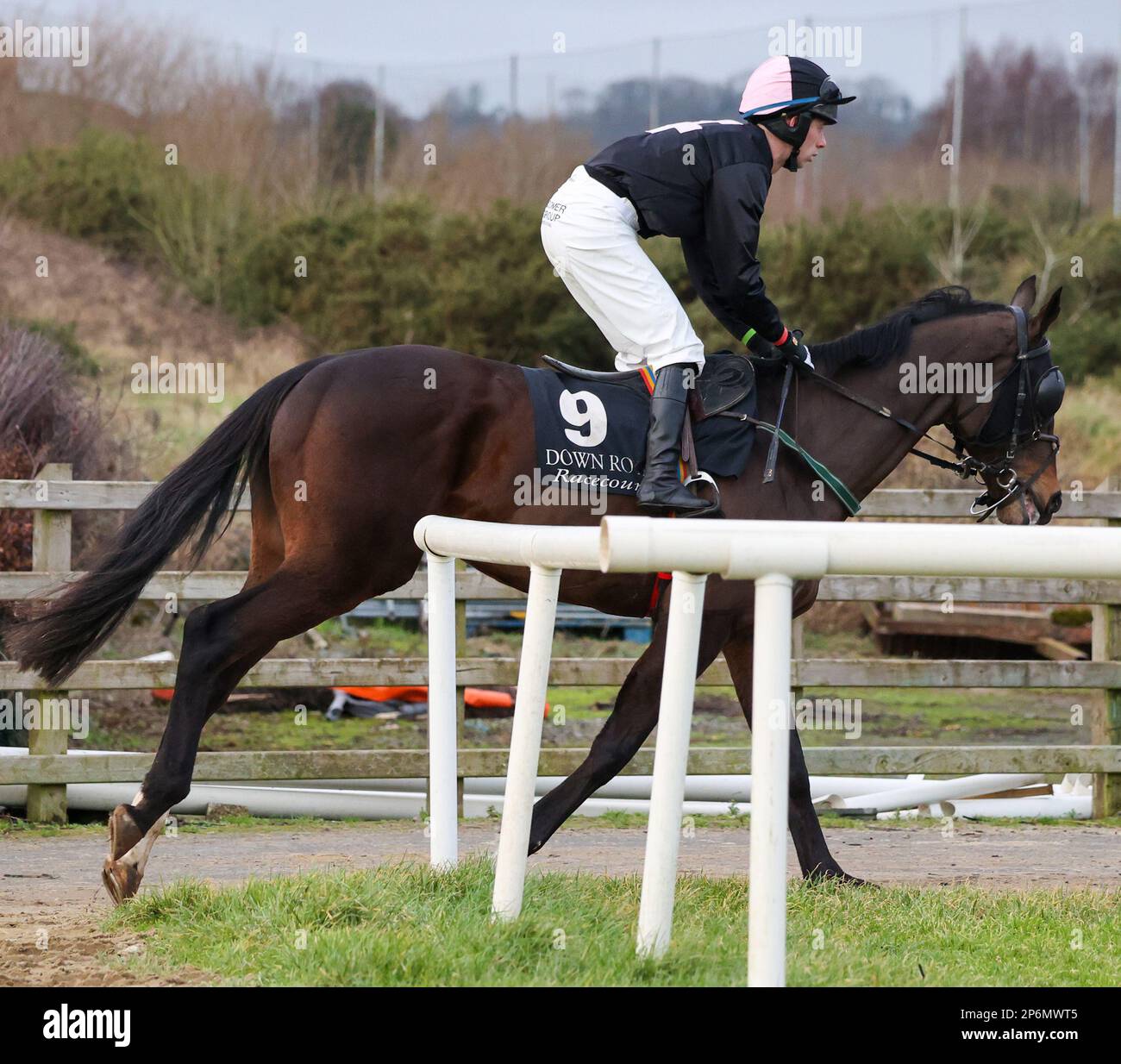 Monoxide gearoid brouder 2023 hi-res stock photography and images - Alamy