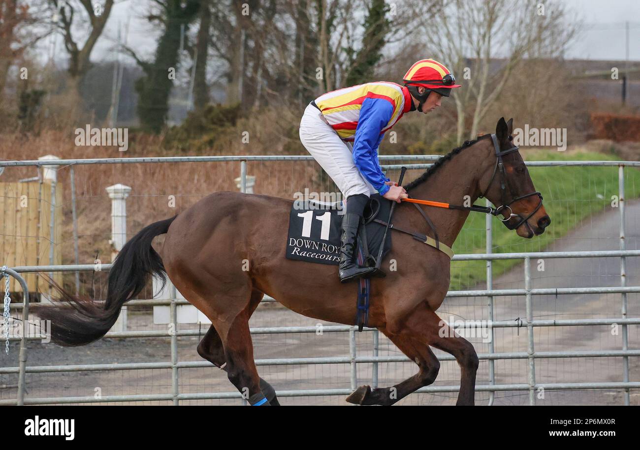 Wee small hours dillon maxwell 2023 hi-res stock photography and images ...