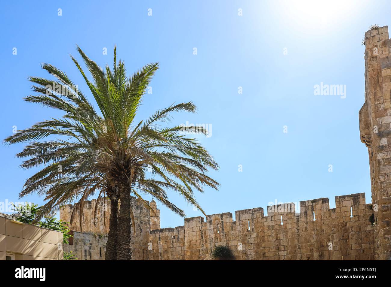 View of palm trees and Jaffa gate in Jerusalem Stock Photo - Alamy