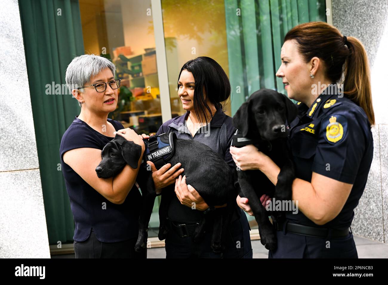 Australian Foreign Minister Penny Wong cuddles a Labrador puppy trained ...