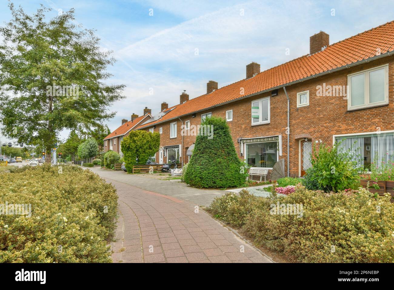 a street with houses in the background and bushes on either side, some ...