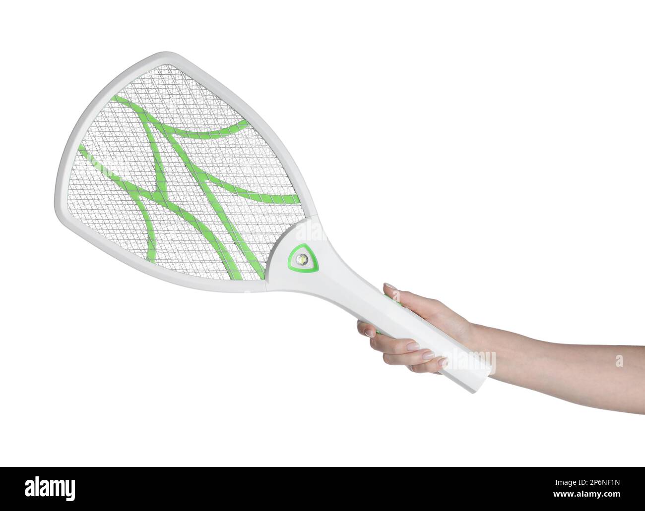 Hand holding insect Cut Out Stock Images & Pictures - Alamy