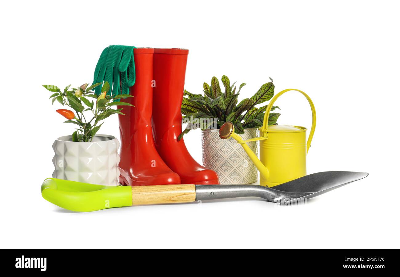 Gardening tools and houseplants on white background Stock Photo - Alamy