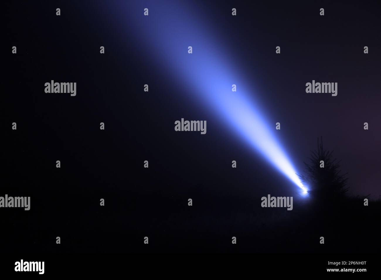 Night sky lit by bright beam of flashlight in forest Stock Photo - Alamy