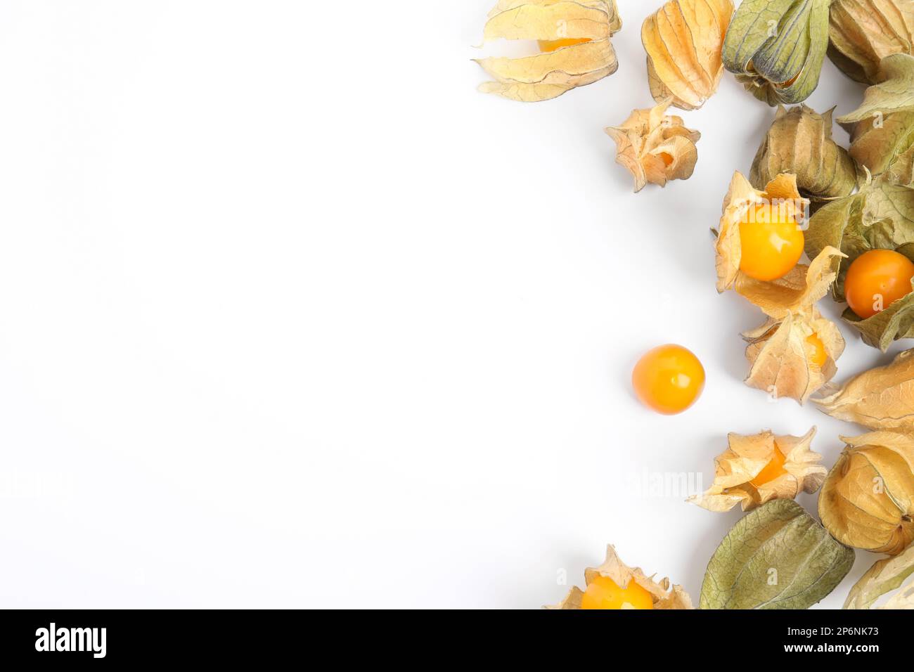 Ripe physalis fruits with dry husk on white background, top view Stock ...