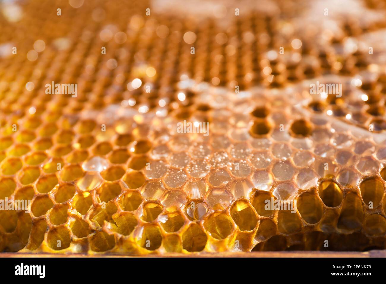 Uncapped filled honeycomb as background, closeup view Stock Photo - Alamy