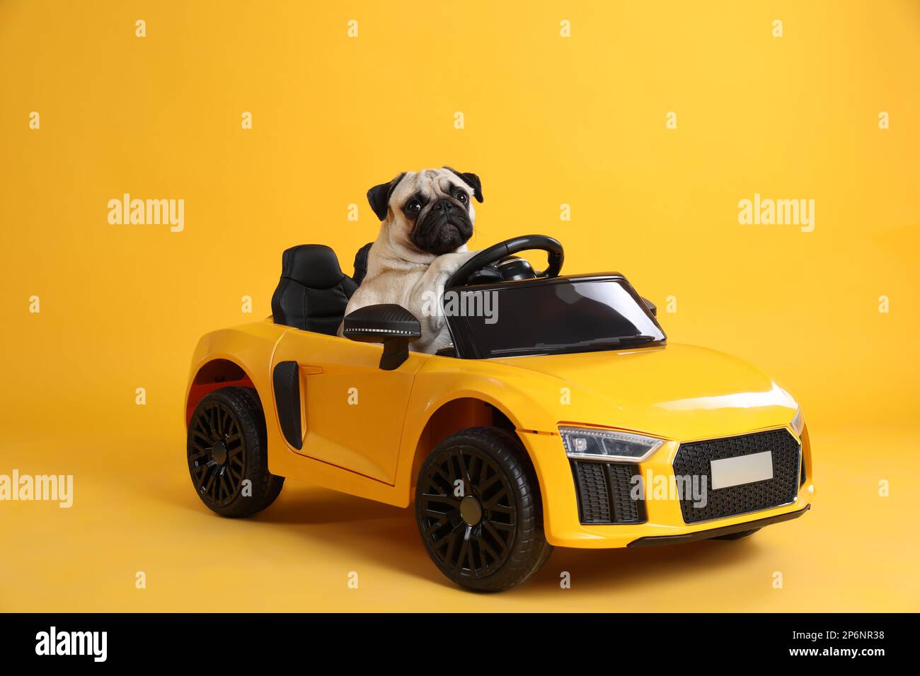 Adorable pug dog in toy car on yellow background Stock Photo - Alamy
