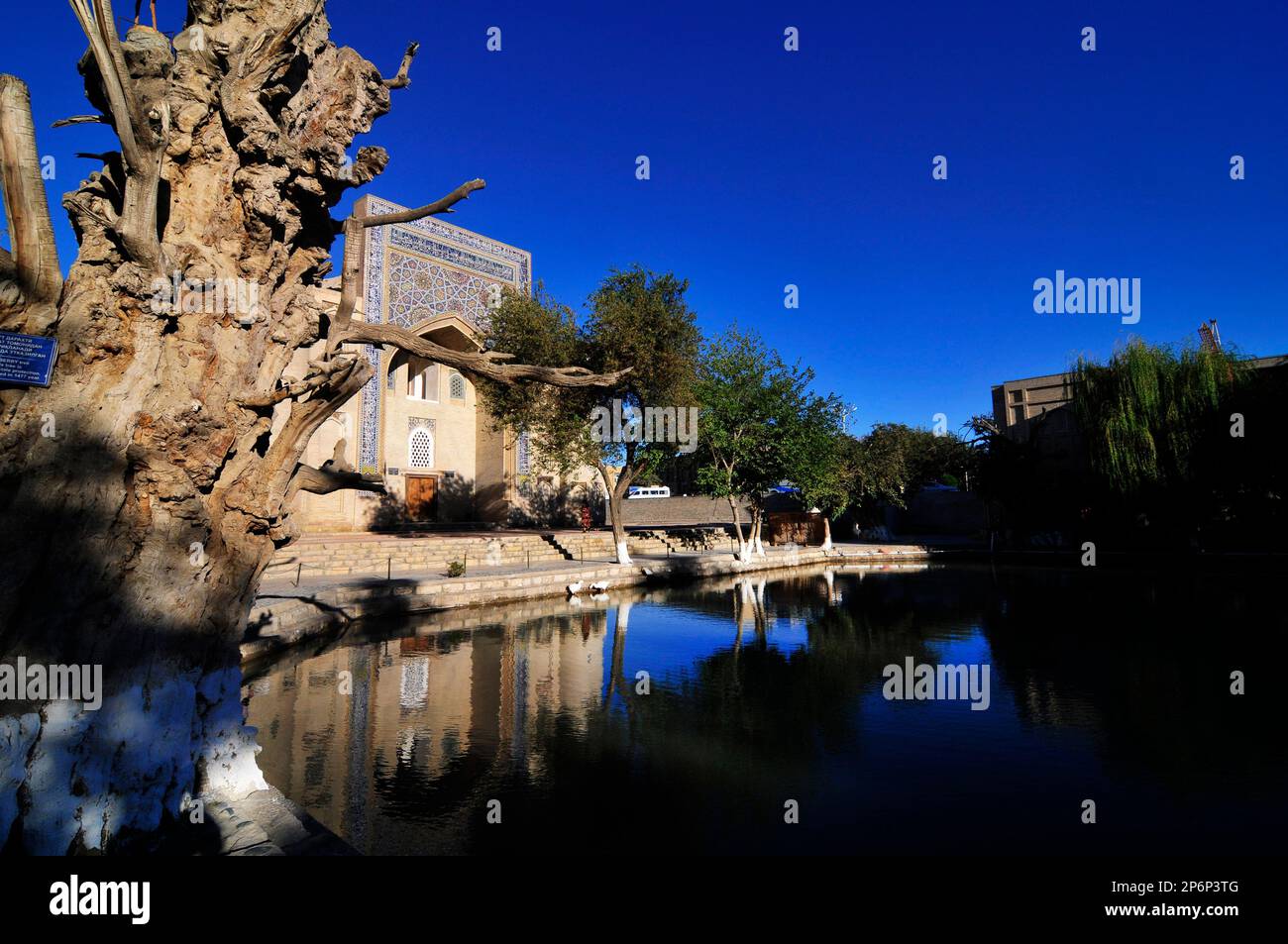 The Nodir Devonbegi Madrasah and the Divan-Beghi pond in the heart of ...