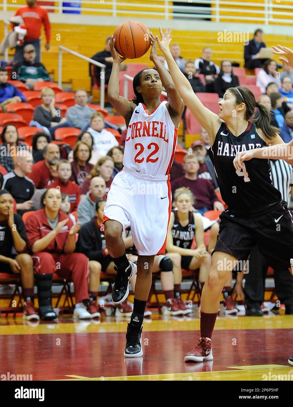 February 03, 2012: Cornell Big Red guard Spencer Lane #22 elevates to ...