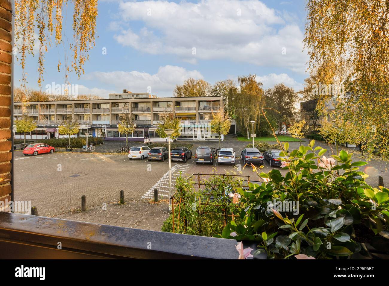 an outside area with cars parked in the parking lot and flowers growing ...