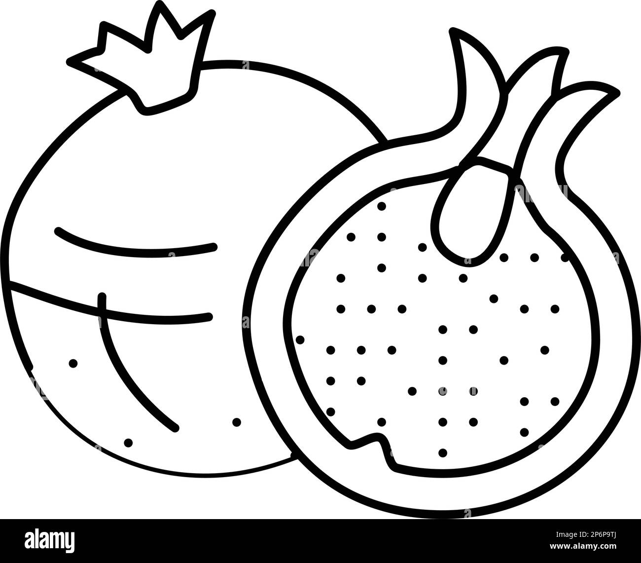 whole cut pomegranate line icon vector illustration Stock Vector Image ...