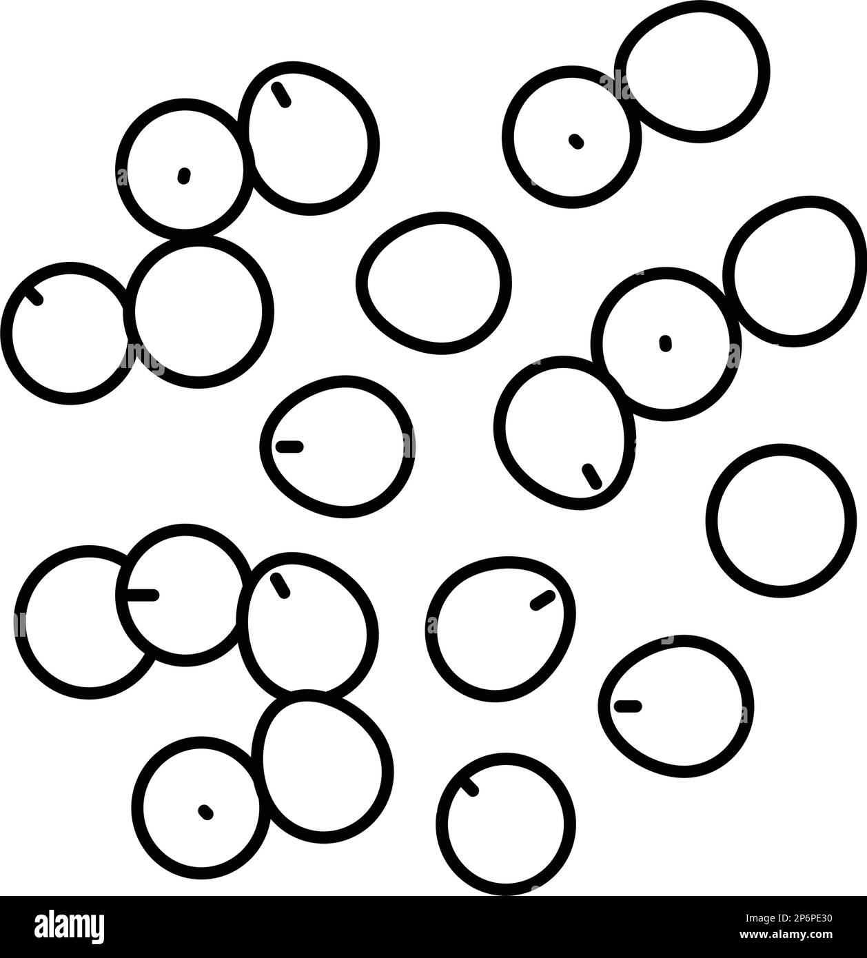 millet grain food line icon vector illustration Stock Vector Image ...