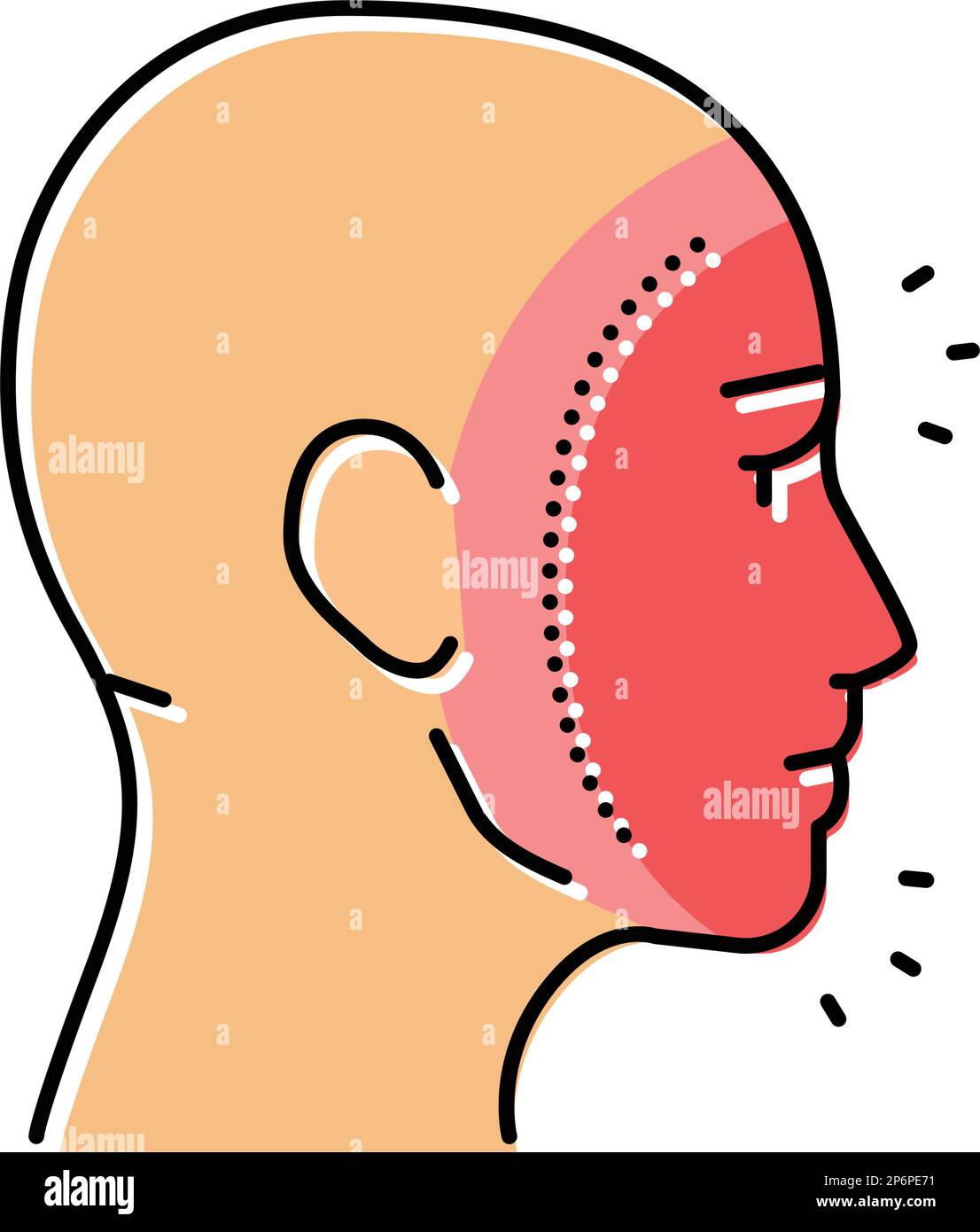 Medical illustration man face muscle Cut Out Stock Images & Pictures ...