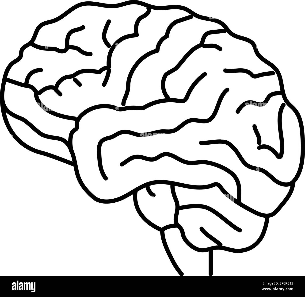 human brain human line icon vector illustration Stock Vector Image ...