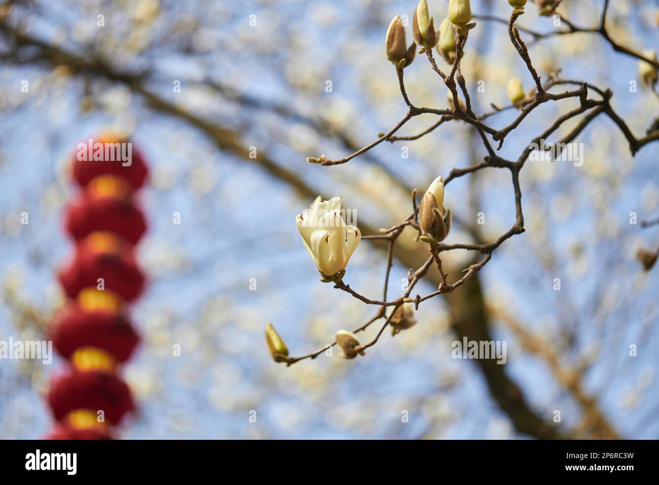 **CHINESE MAINLAND, HONG KONG, MACAU AND TAIWAN OUT** A 500-year-old ...