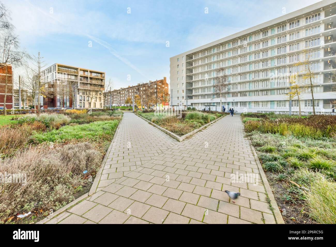 an urban park with buildings in the background and people walking on ...