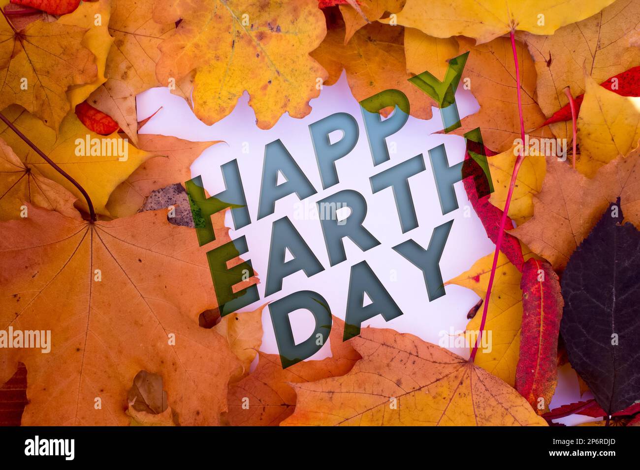 Autumn leaves, objects with Earth Day text. Natural patterns, color ...