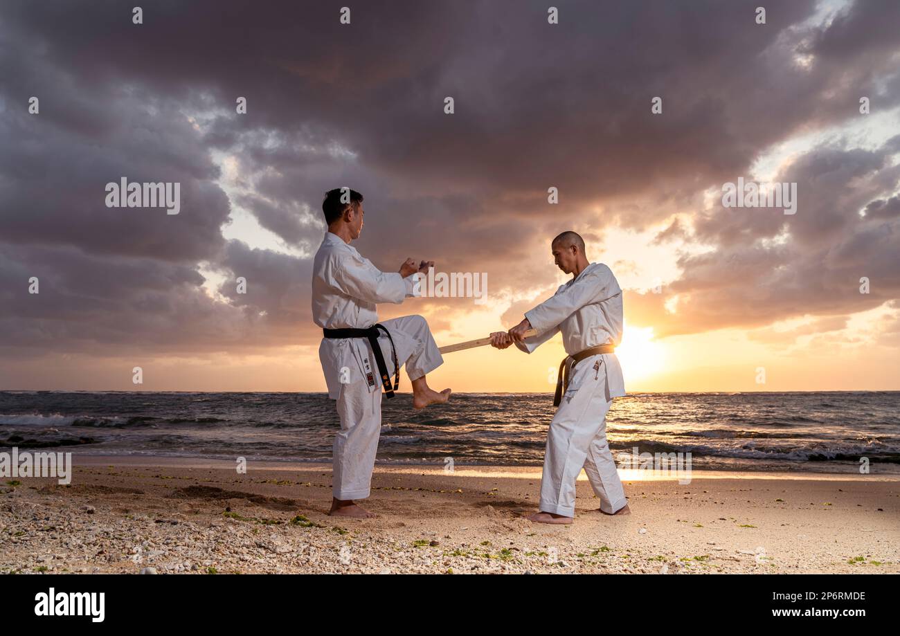 Yoichiro Kuniyoshi 6th dan Uechi-ryu Karate with his younger brother ...
