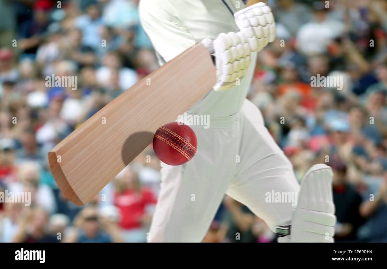 Professional cricket players hi-res stock photography and images - Alamy