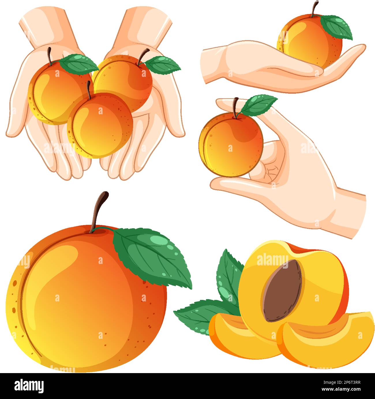 Set of mix peach cartoon illustration Stock Vector Image & Art - Alamy