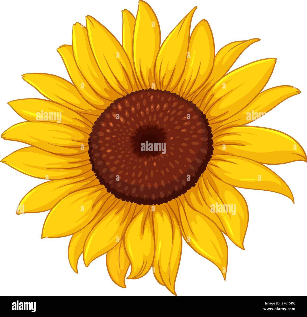 Bright Yellow Sunflower Design for Decorations illustration Stock ...