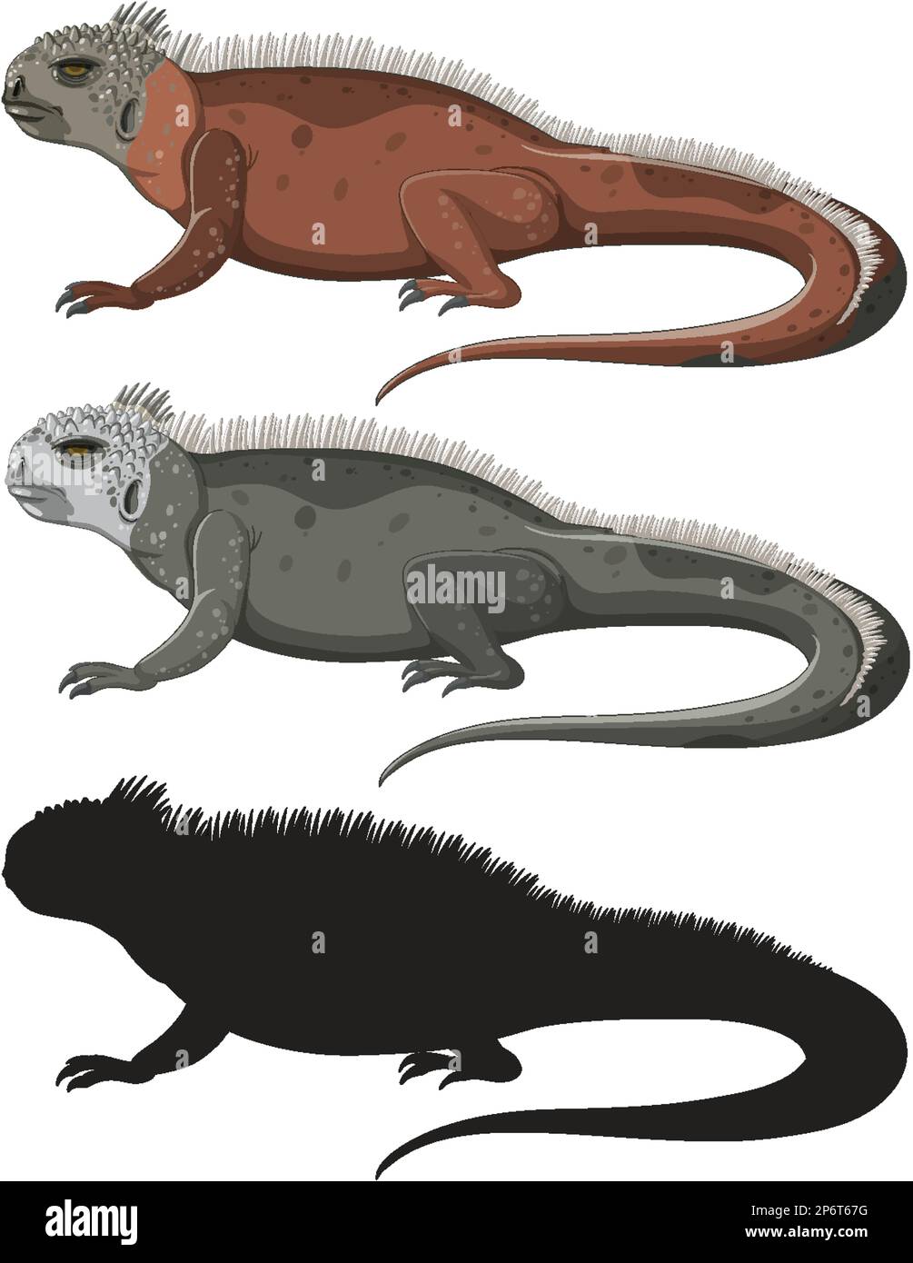 Silhouette of standing iguana illustration Stock Vector Image & Art - Alamy