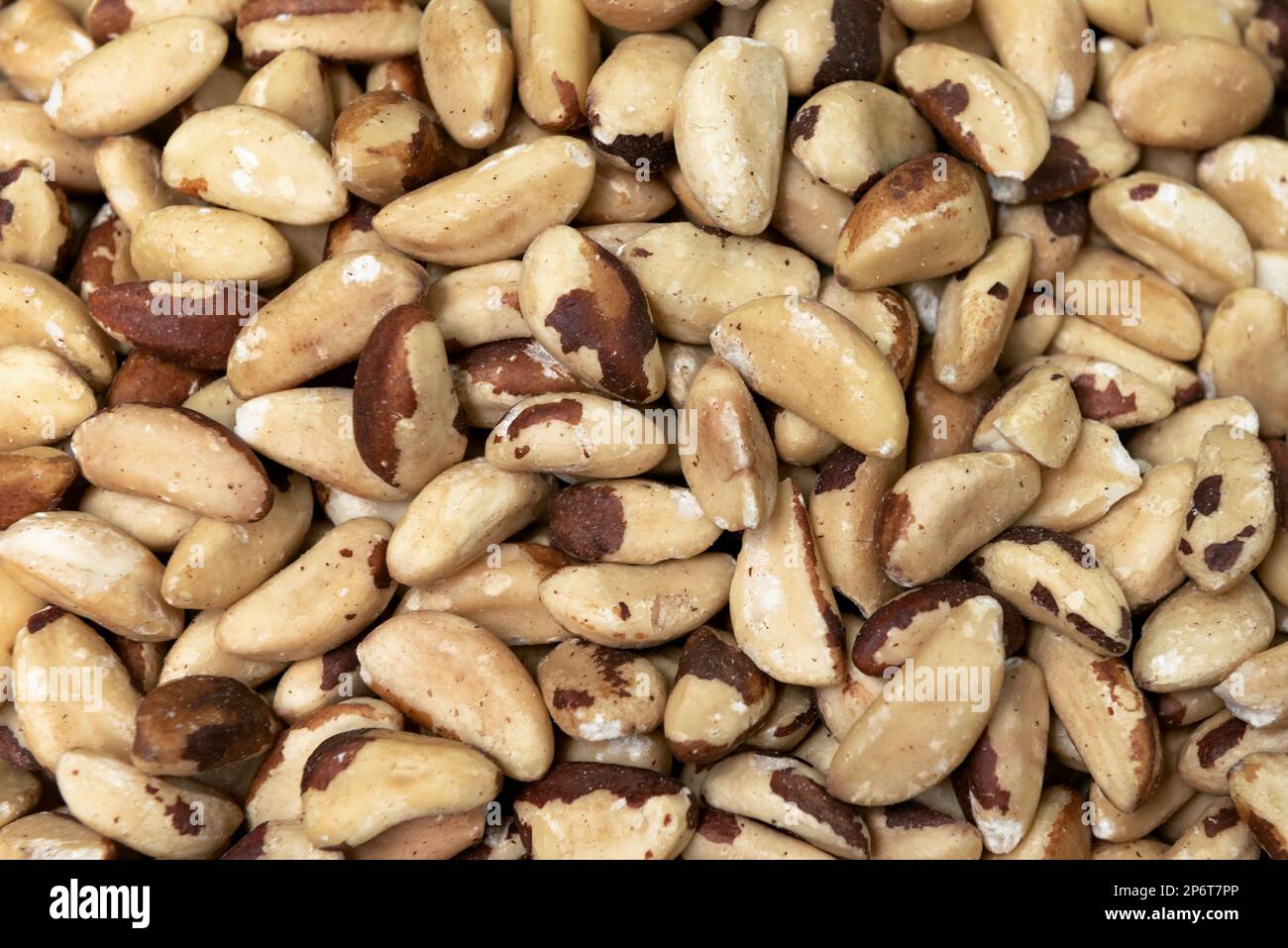 Brazil nuts or Castanha do Para Stock Photo - Alamy