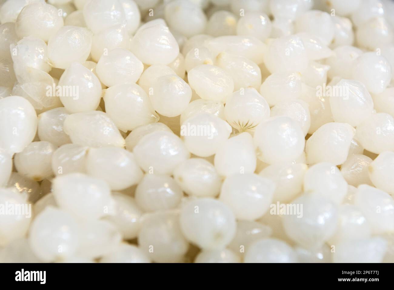 Pearl onion hi-res stock photography and images - Alamy
