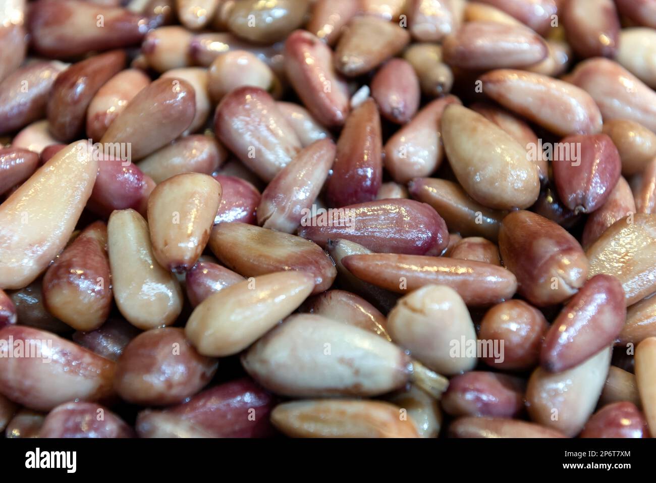 Pine nuts nut hi-res stock photography and images - Alamy