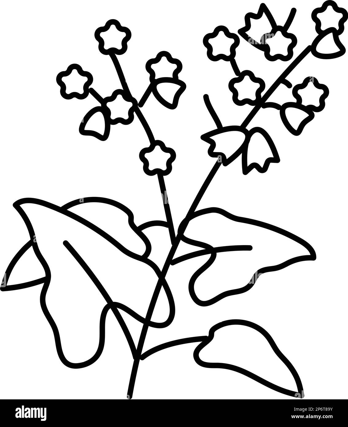 buckwheat plant healthy line icon vector illustration Stock Vector ...