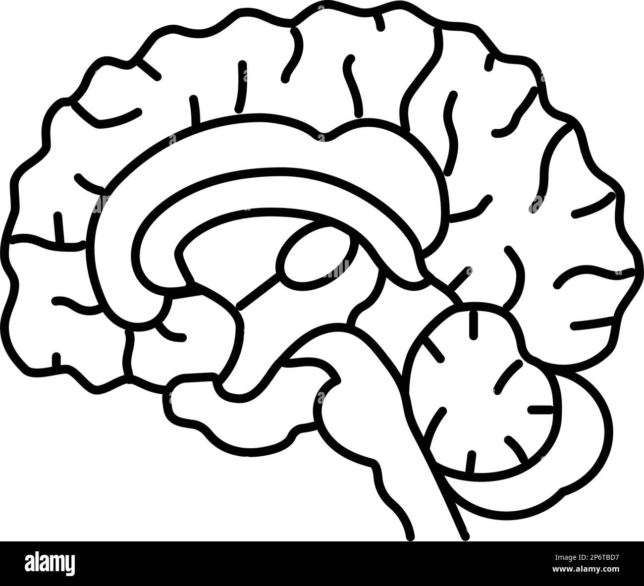 neurology brain line icon vector illustration Stock Vector Image & Art ...