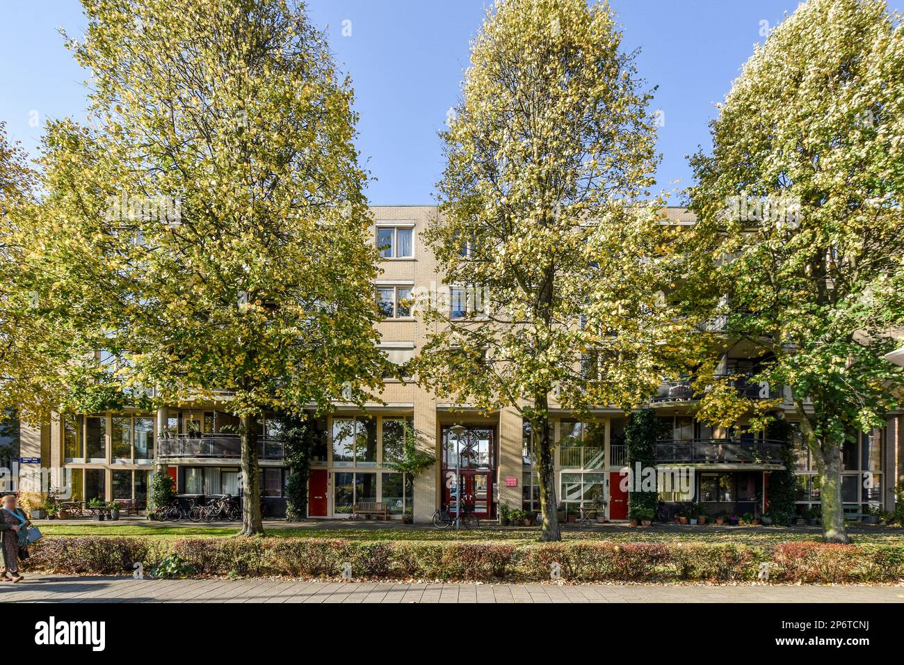 some trees in front of an apartment building with two people sitting on ...