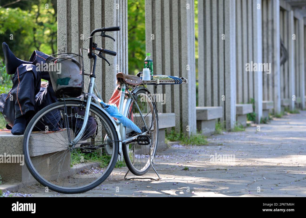 This peaceful scene captures a moment of stillness, with the gentle hum ...