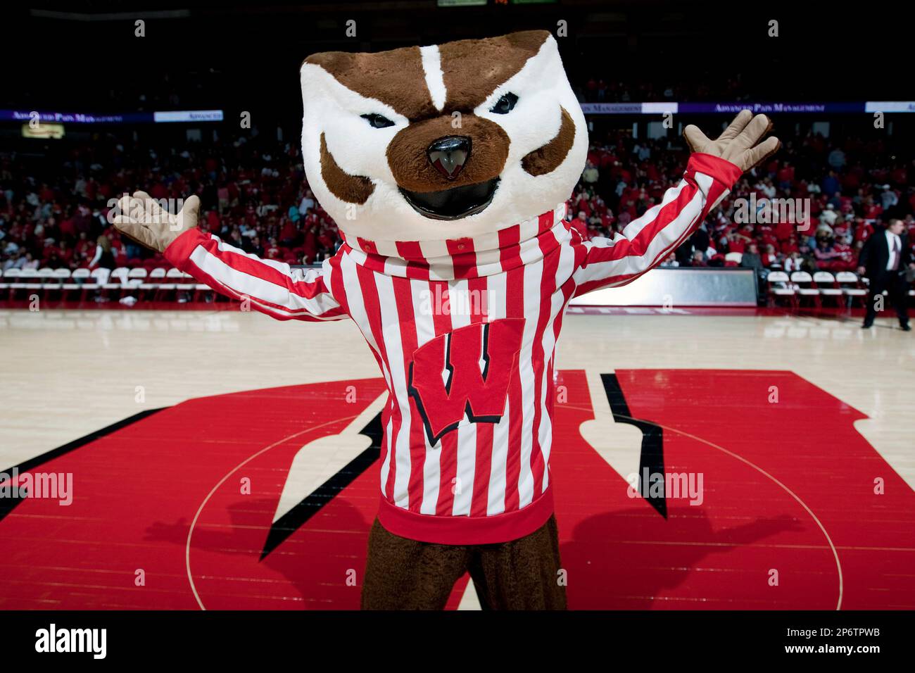 Wisconsin badgers mascot bucky badger hi-res stock photography and ...