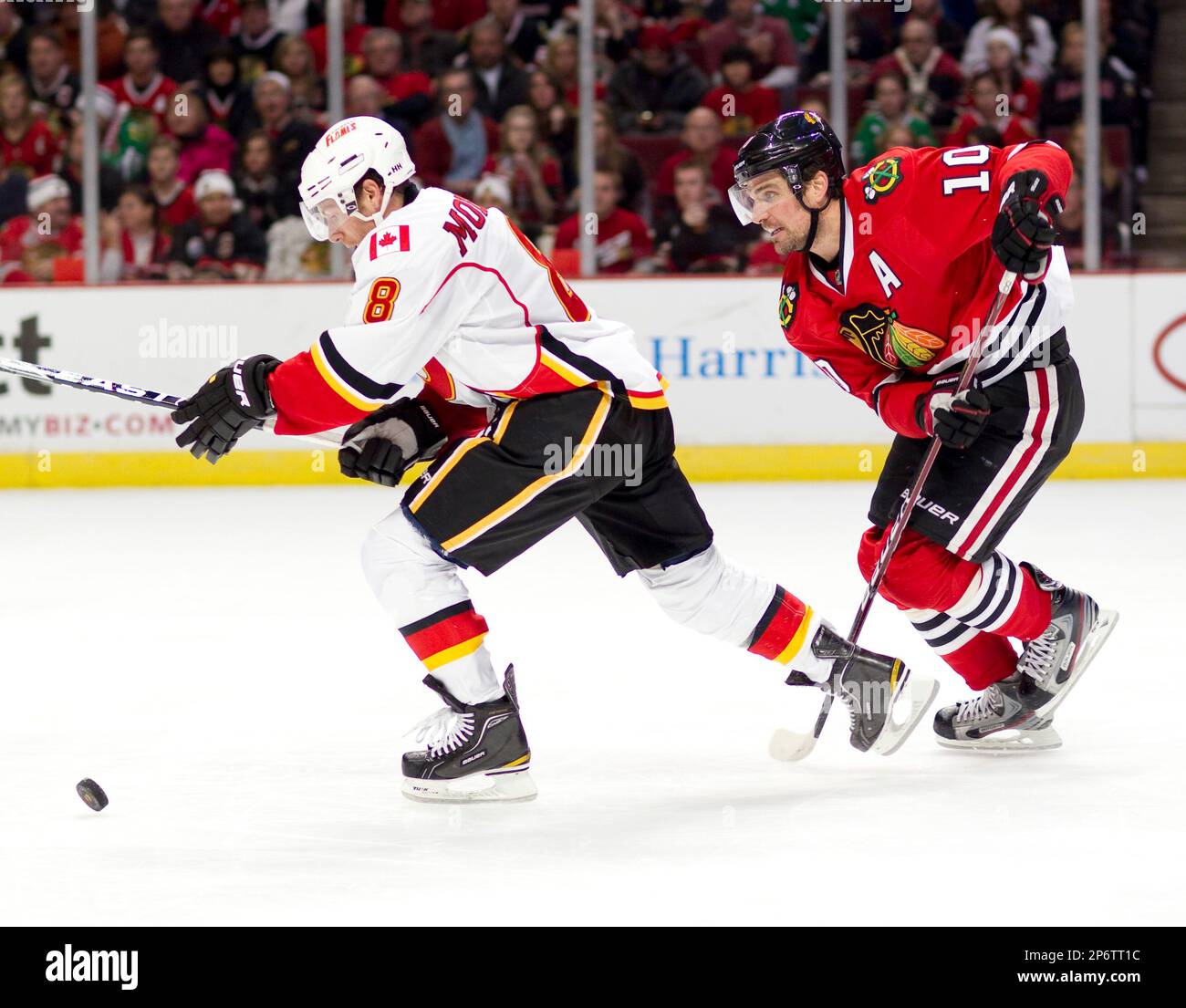 December 18, 2011: Chicago, IL. Blackhawk Patrick Sharp #10 and Flame ...
