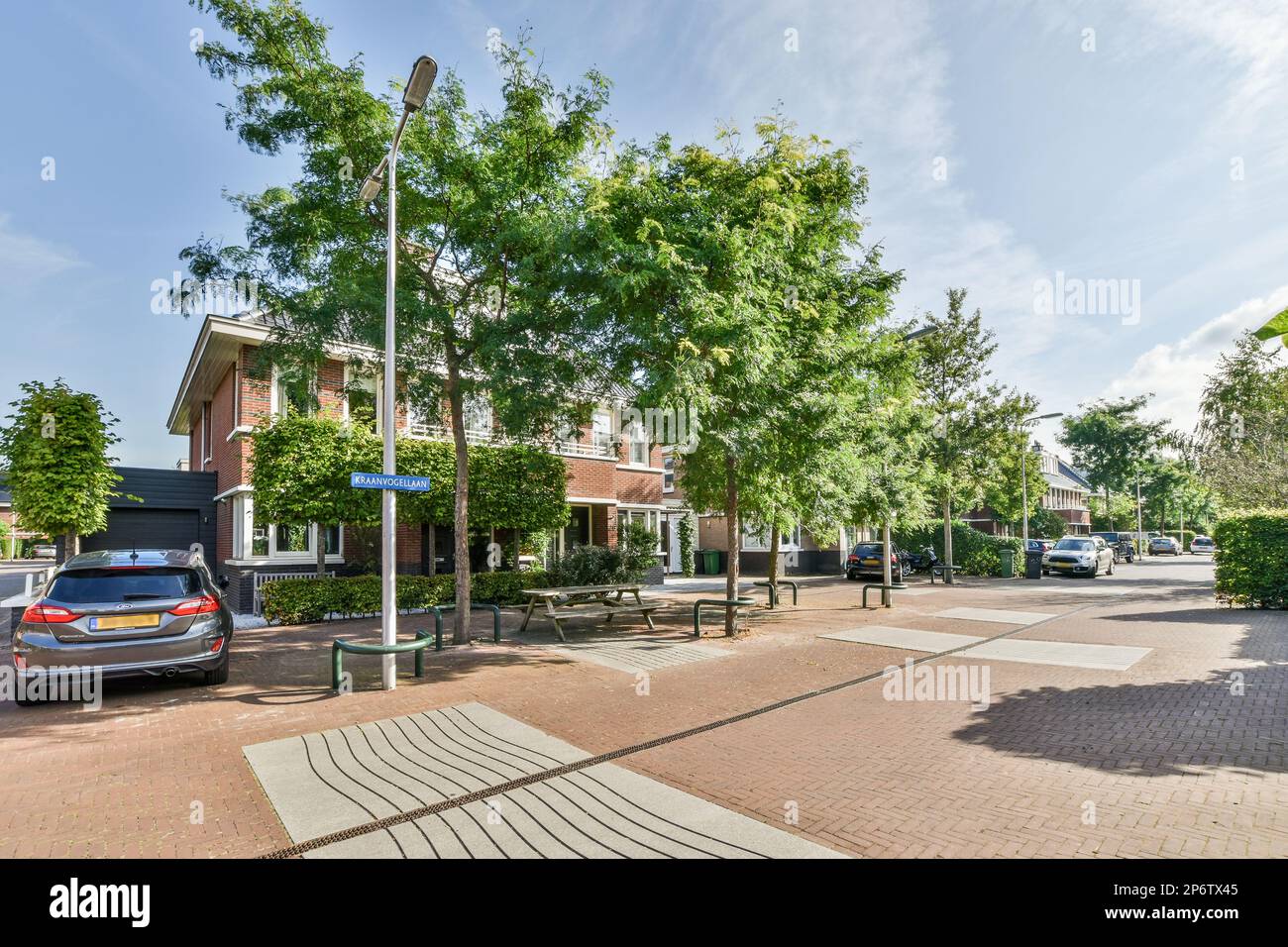 a city street with cars parked on the side and trees growing in the ...