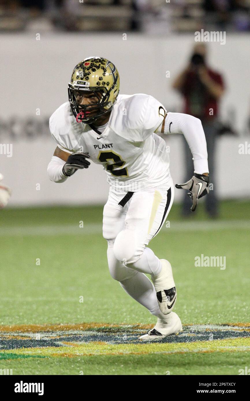 Plant High School Panthers