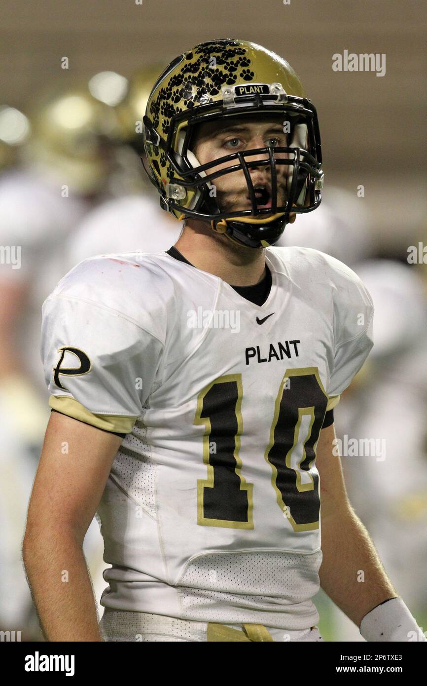 Plant High School Panthers