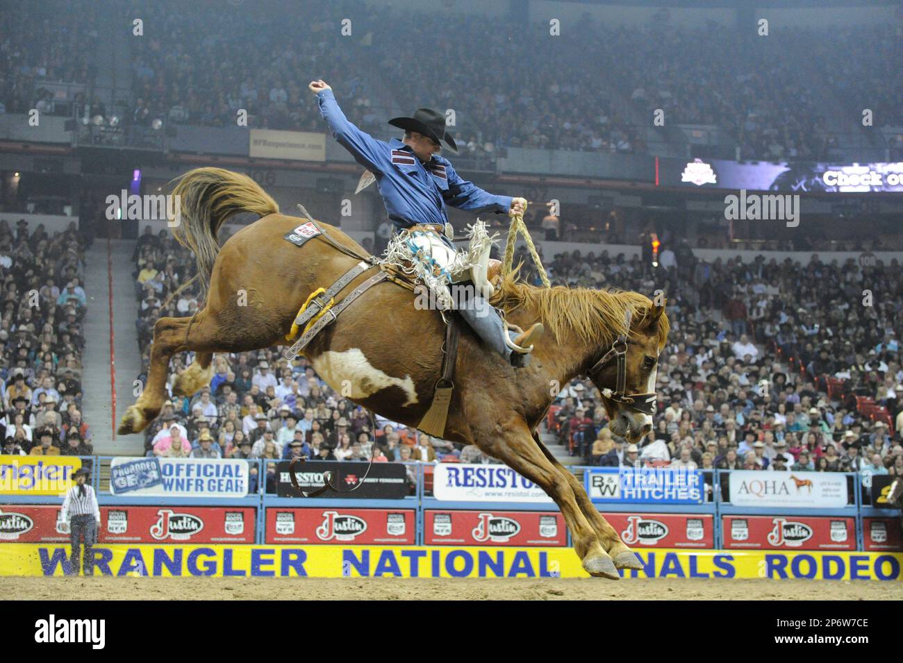 2011 DEC 10: Jesse Kruse of Great Falls, MT rides Painted Feather ...