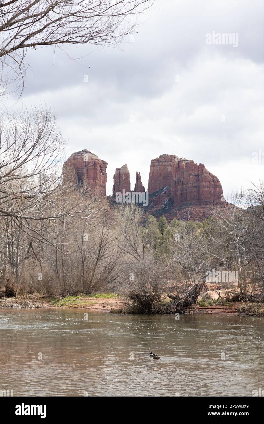 Oak Creek flowing below Cathedral Rock at Crescent Moon Ranch in Sedona ...