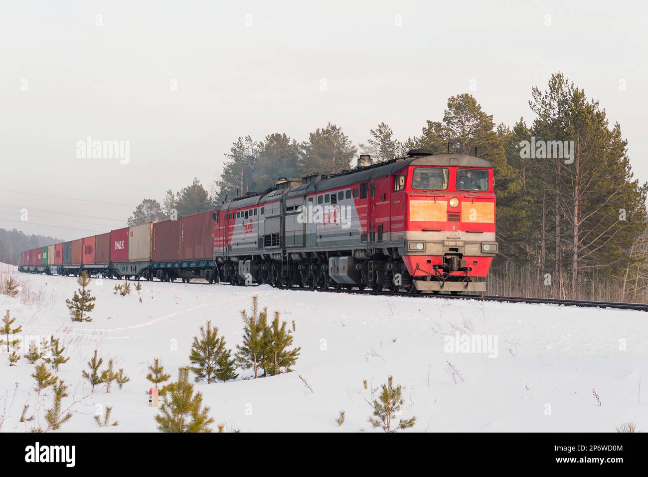 a train with the Russian Railways logo goes by rail in the middle of ...