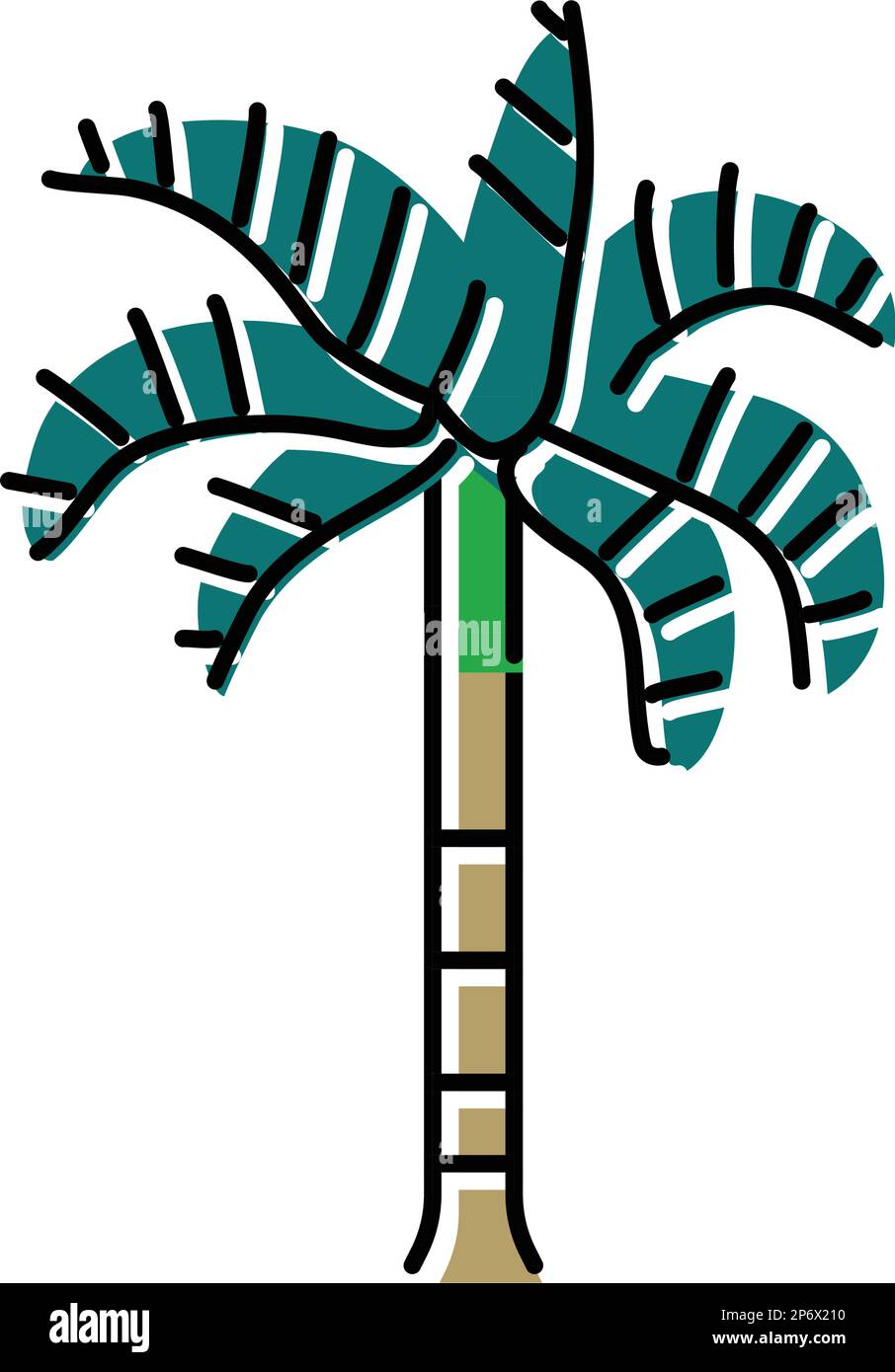 foxtail palm tree color icon vector illustration Stock Vector Image ... foxtail palm tree color icon vector illustration Stock Vector Image ...