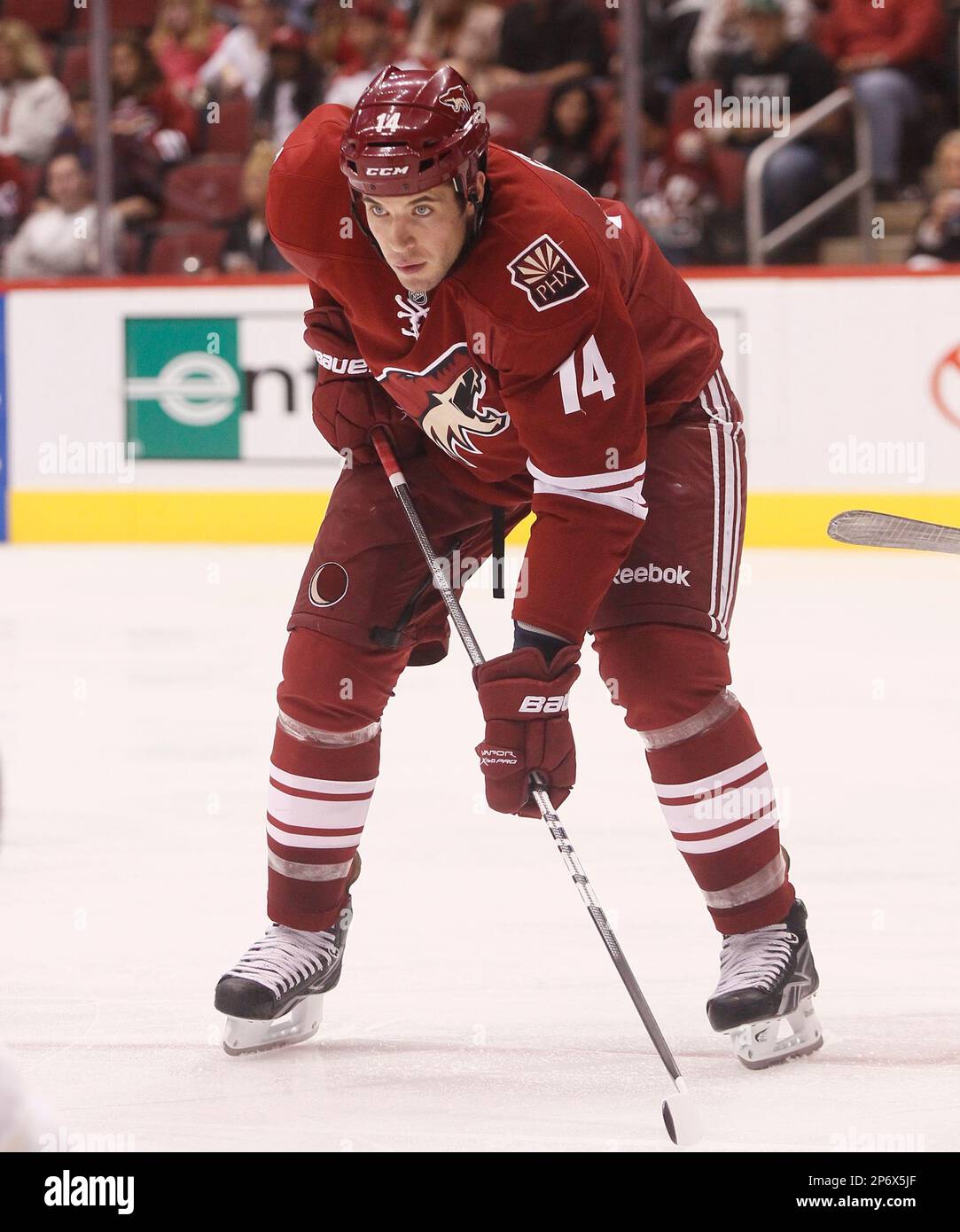 Phoenix Coyotes left wing Taylor Pyatt in the first period during a NHL ...