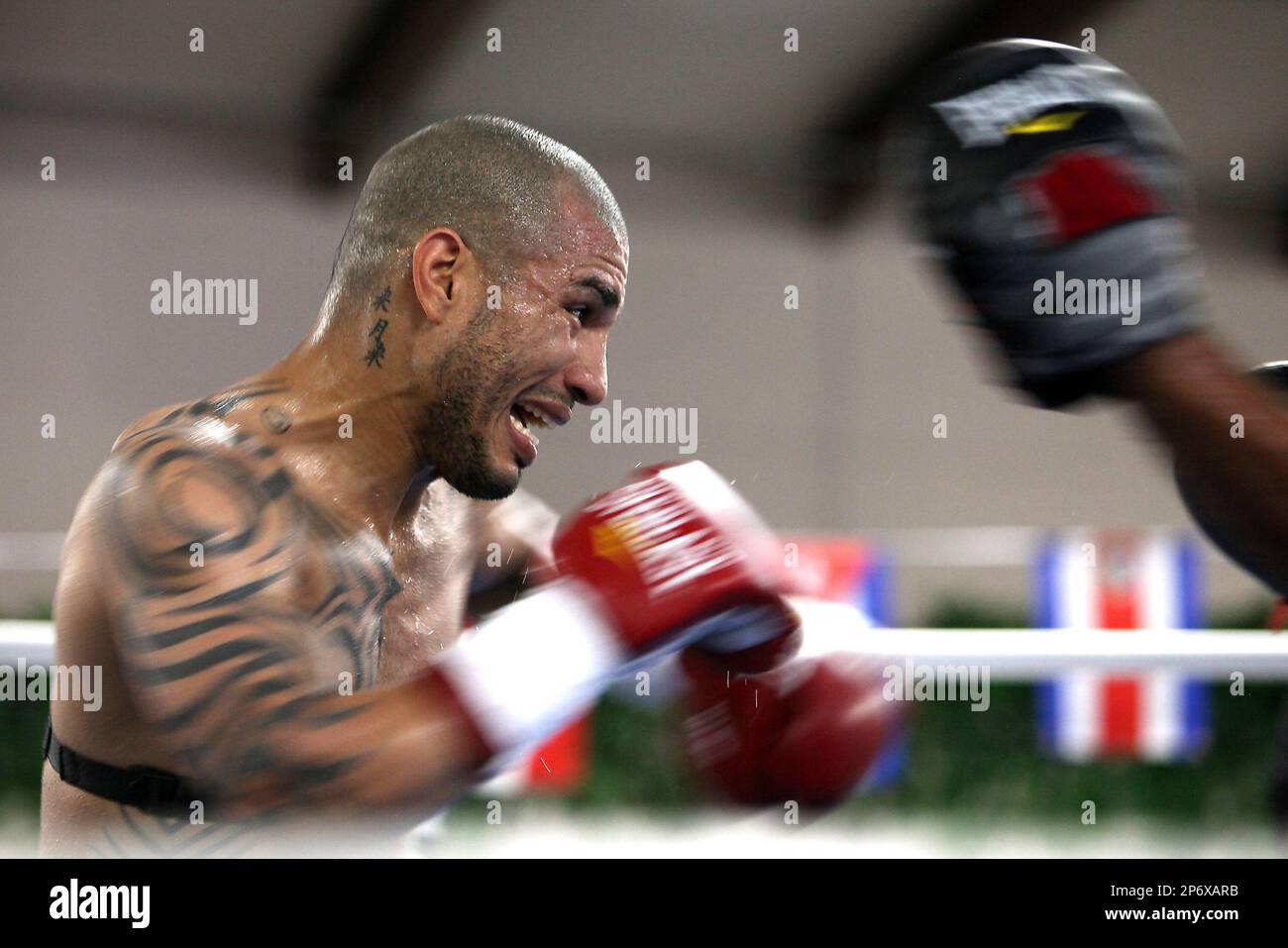 Three division world champion boxer Miguel Cotto holds media day at K.G ...