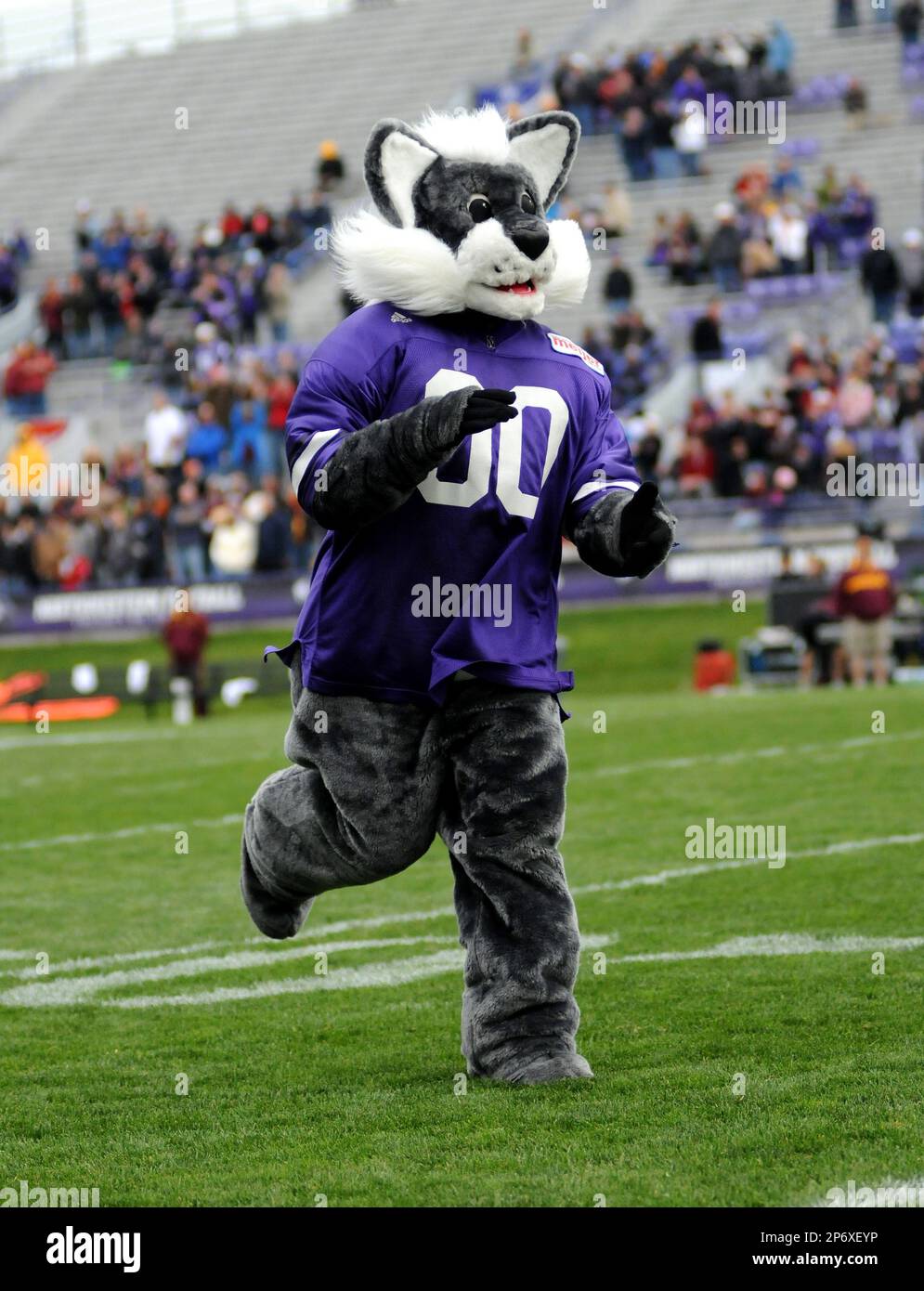 November 19, 2011: The Northwestern mascot in action during the NCAA ...