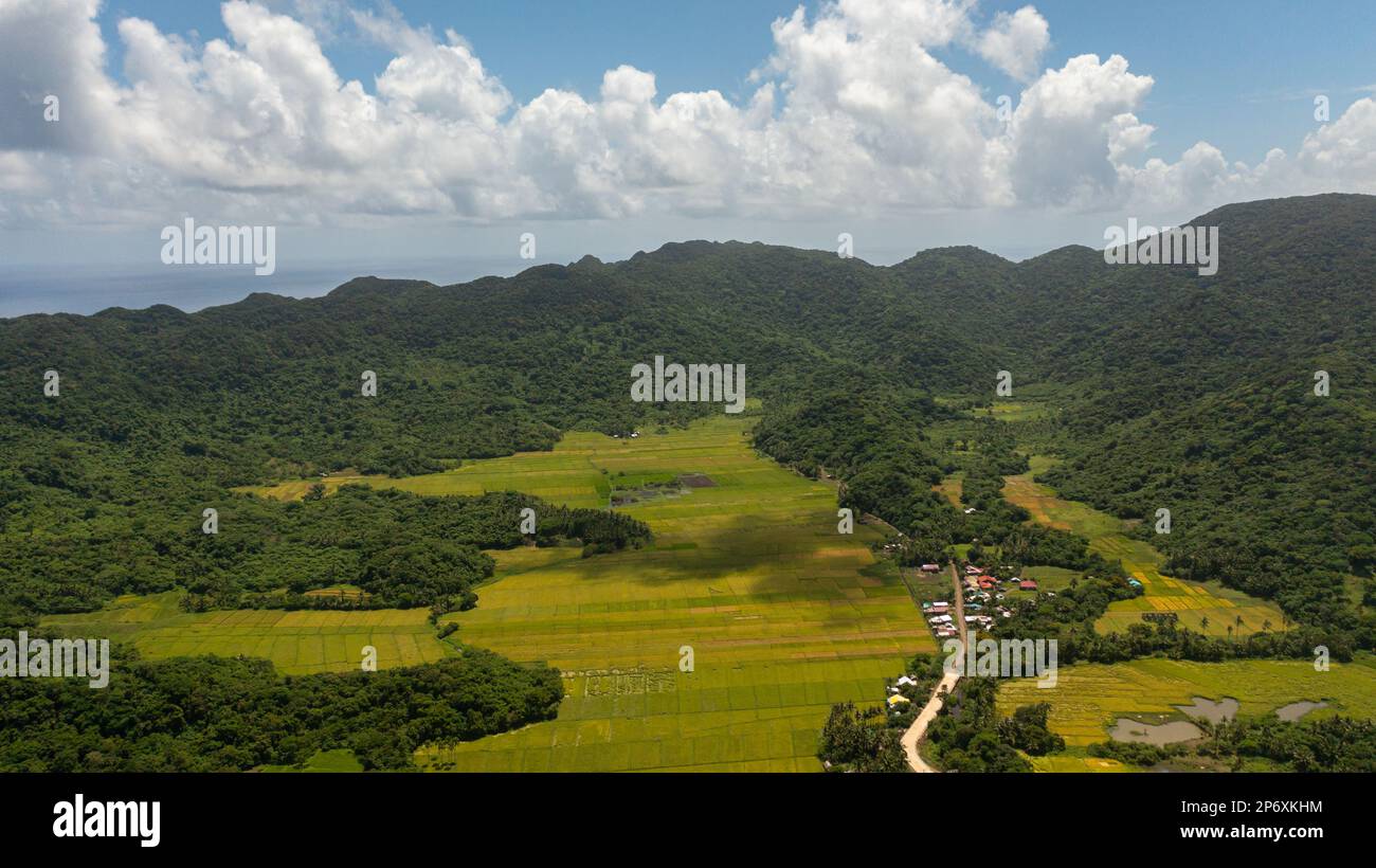 Mountain slopes with rainforest and a mountain valley with farmland ...