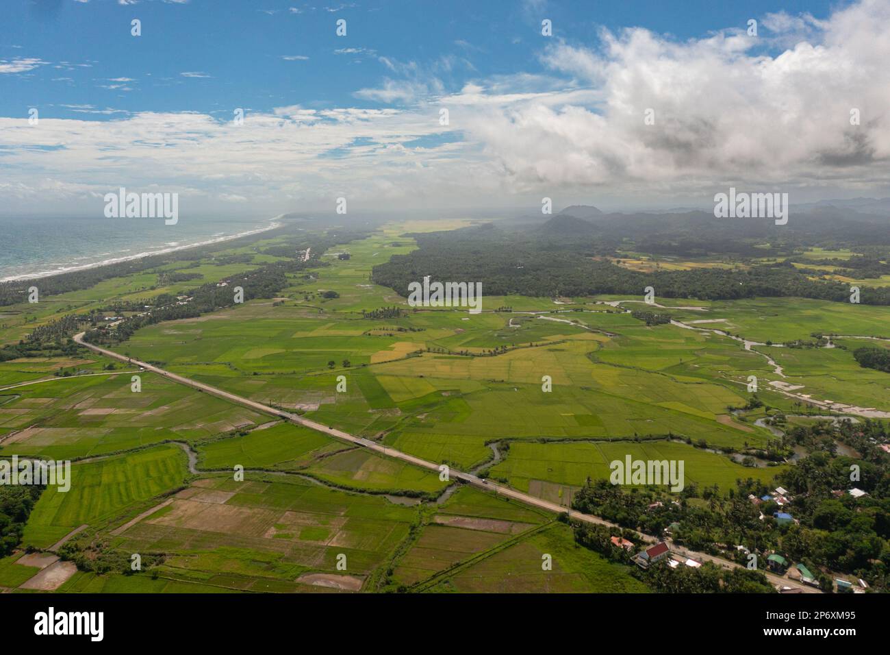Top view of Agricultural landscape with rice plantations and farmland ...