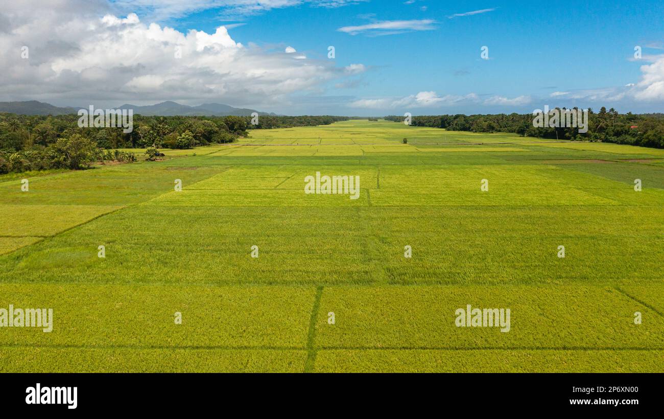 Top view of rice fields and agricultural land in the Philippines Stock ...