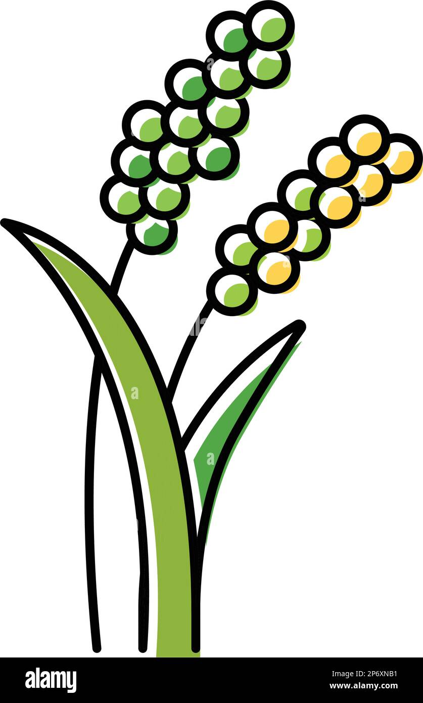 millet plant food color icon vector illustration Stock Vector Image ...