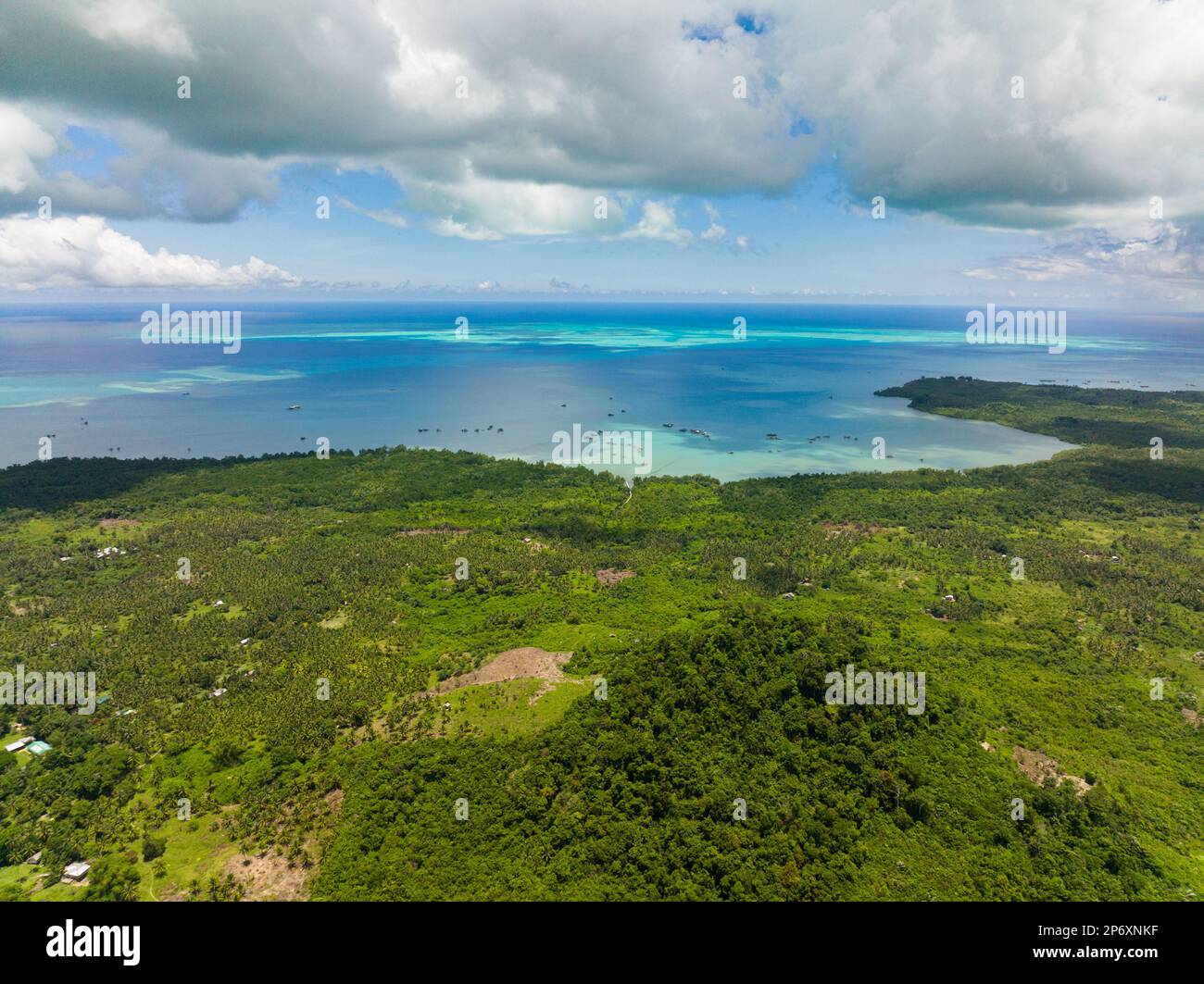 Rainforest and jungle on the coast of a tropical island. Balabac ...
